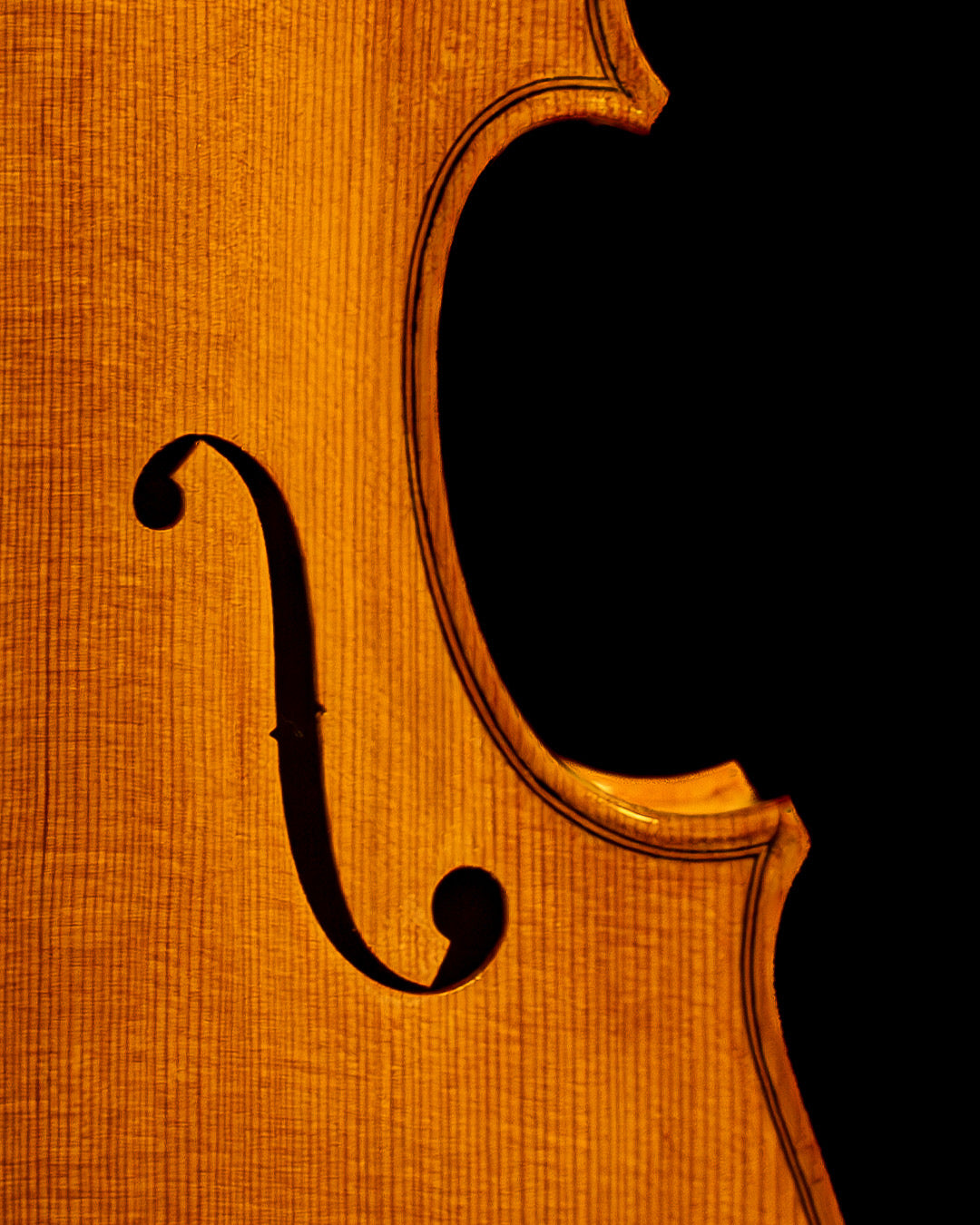 The importance of F-holes – Hellweg & Cloutier